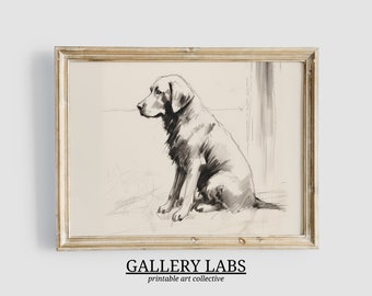 Vintage Labrador Retriever Print Gallery Wall Art Decor 1930s - Etsy