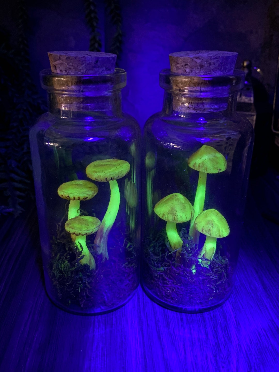 Tall Glow Mushroom Jars - Trixi’s Twisted Wands - Etsy