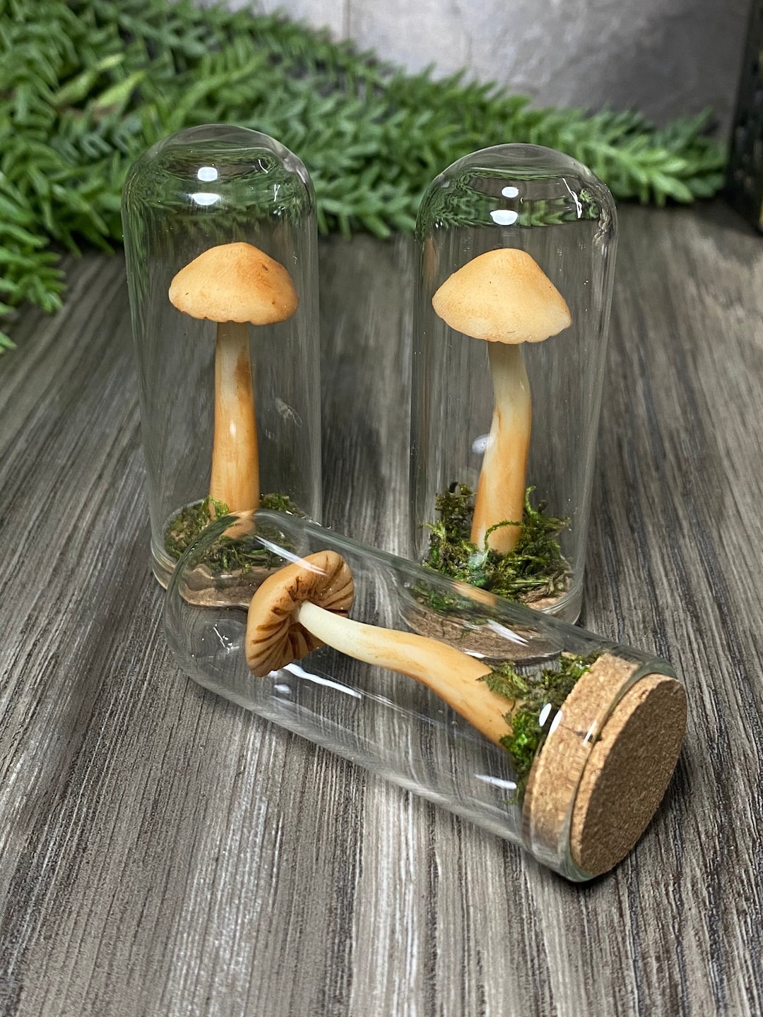 Mini Glow Mushroom Vial - Trixi’s Twisted Wonders - Etsy
