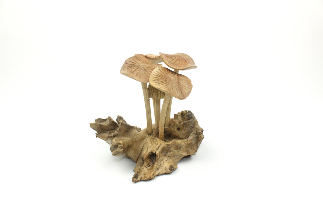 Wooden Mushroom , Carved Wooden Mushroom, Hand Carved, Wood Carving ...