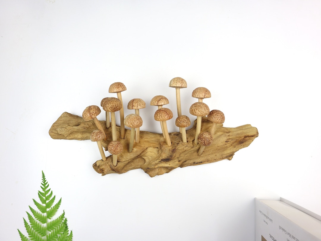 Wood Enoki Mushroom Wall Hanging | Hand-carved Driftwood Decor ...