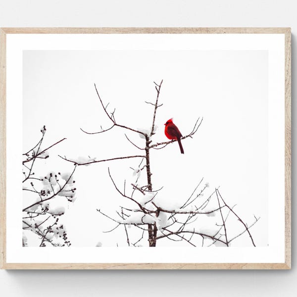 Cardinal Prints - Etsy