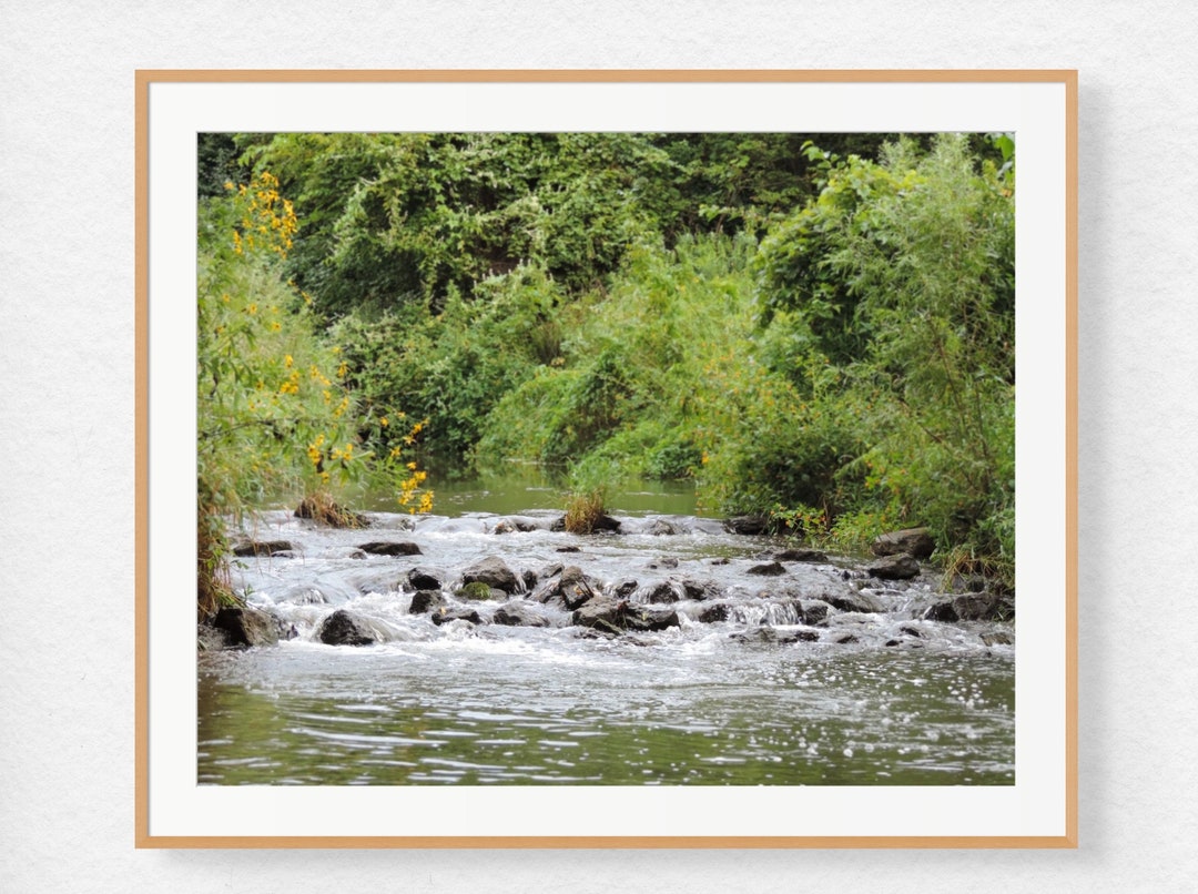 River Art Landscape Photography, River Rapids, Waterfall Decor, Nature ...