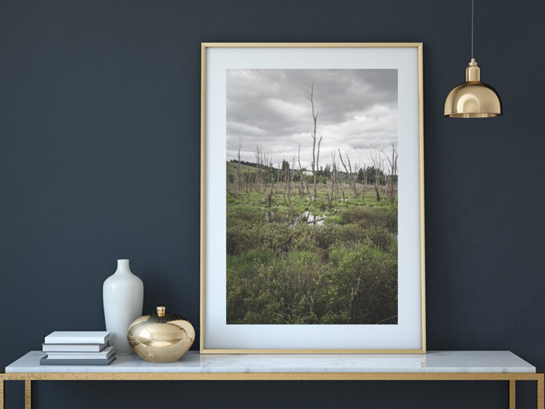Swamp Land | Oregon | Nature | Travel | Bayou | Pacific North West - Etsy