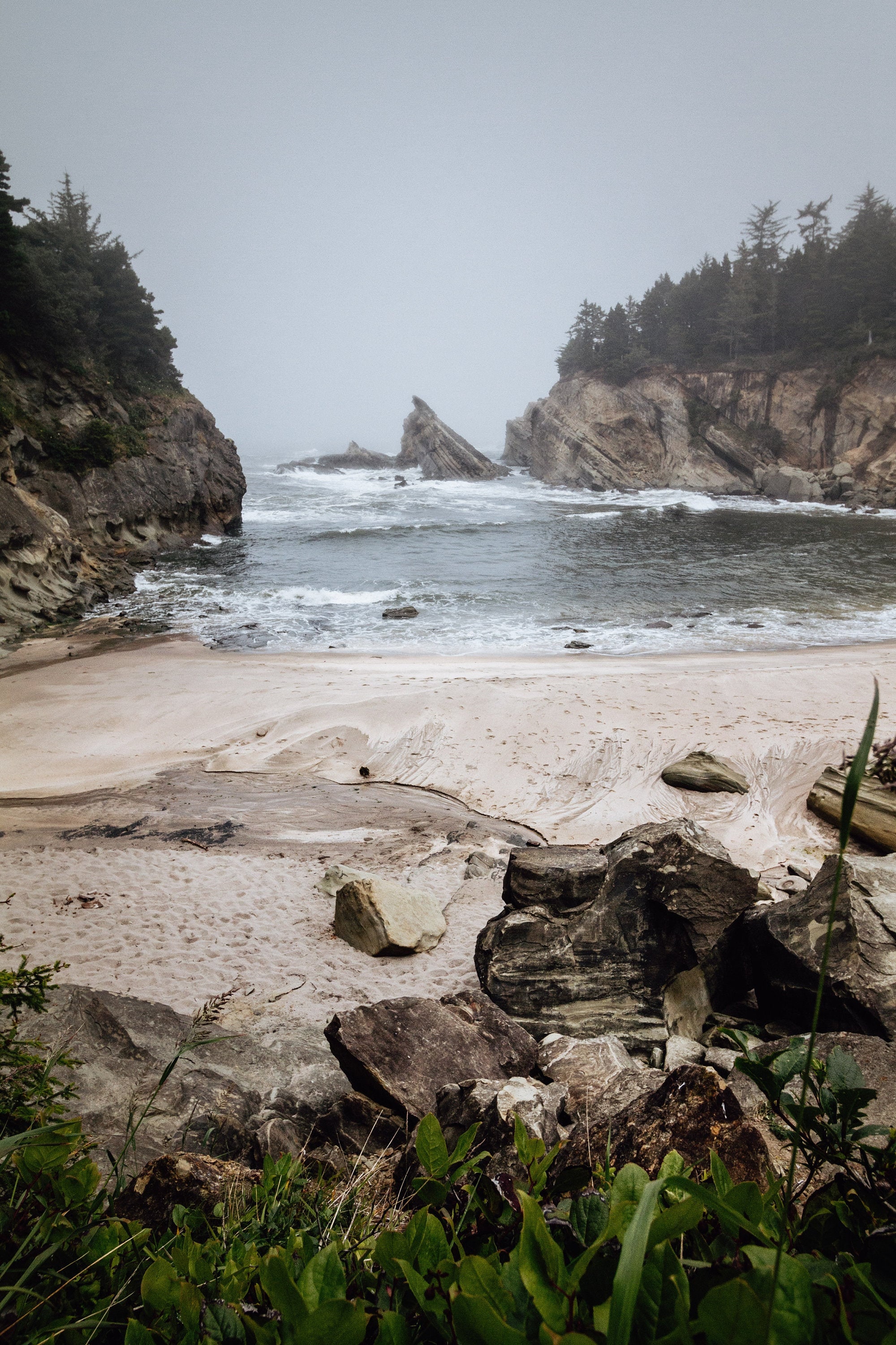 Shore Acres State Park | Oregon Coast | Summer | Coastal Photography ...