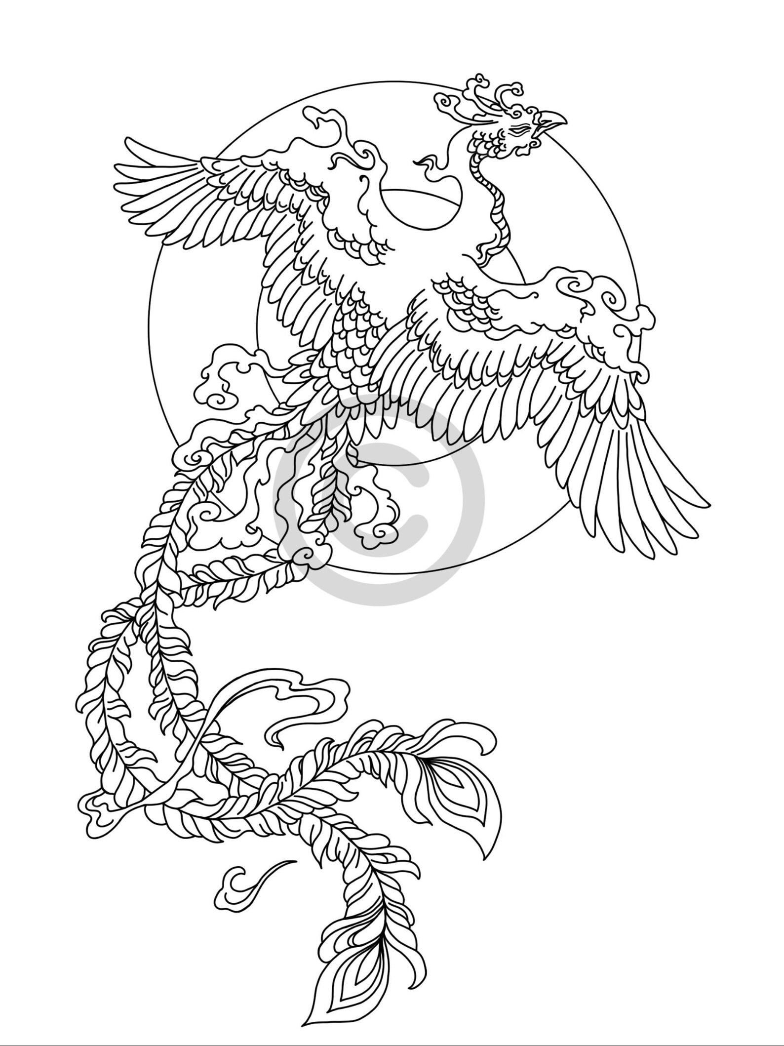 Magic Bird Coloring Page, Downloadable, Printable, Line Art, Drawing - Etsy