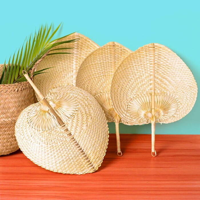 Fan Palms - Etsy