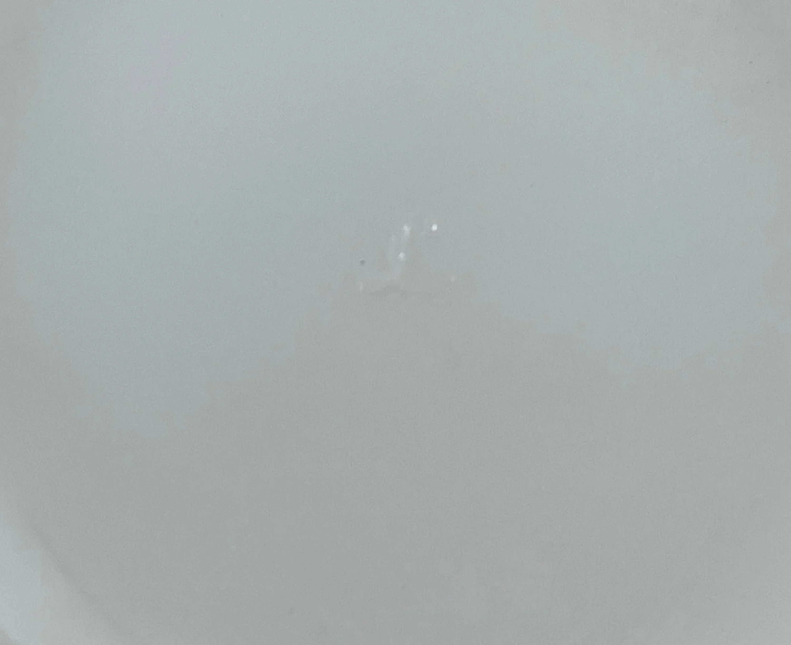 Mickey Mouse Club Mickey and Bees Coffee Mug on Libbey White Glass Mug ...