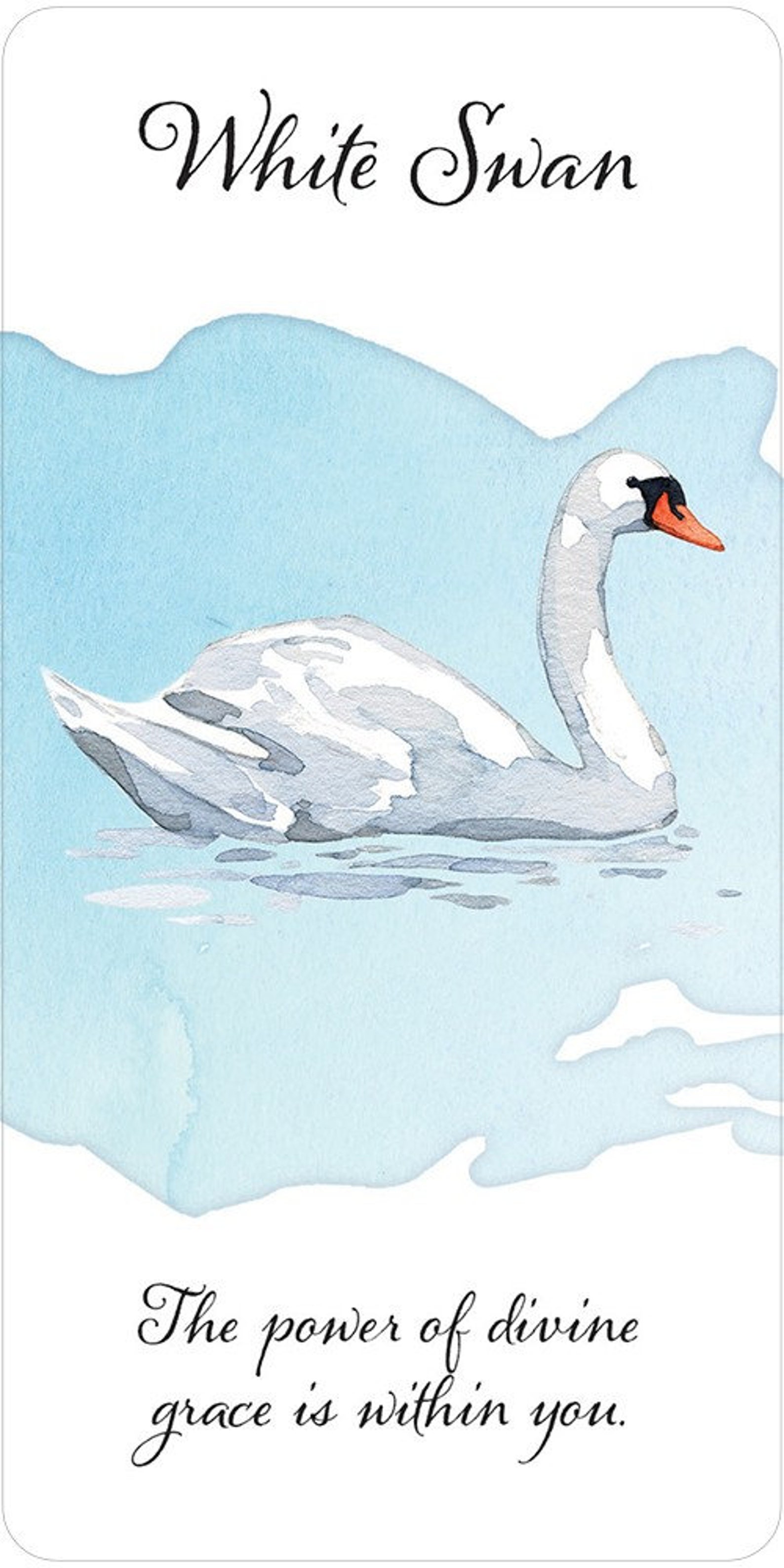 Divine Feather Messenger Tarot Deck & Book - Etsy