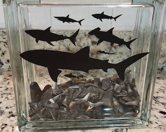 Shark Tooth Storage - Etsy