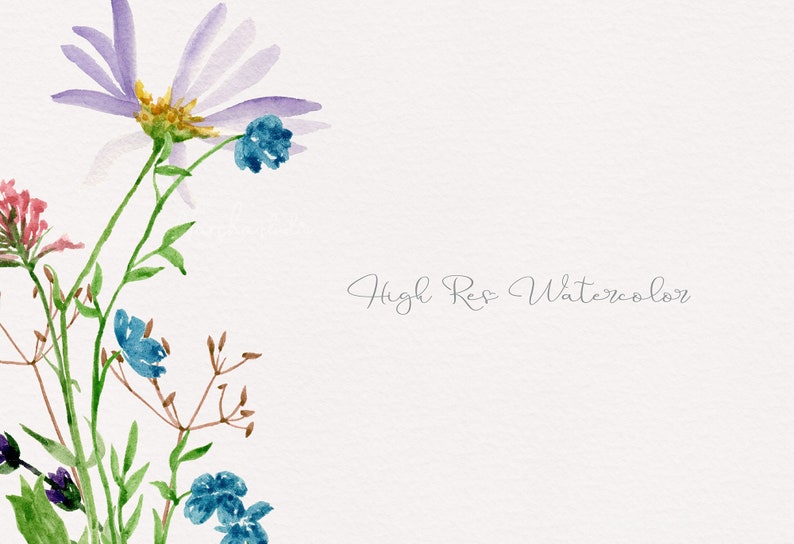 Watercolor Wildflower Clipart Boho Floral Clipart Wildflower - Etsy