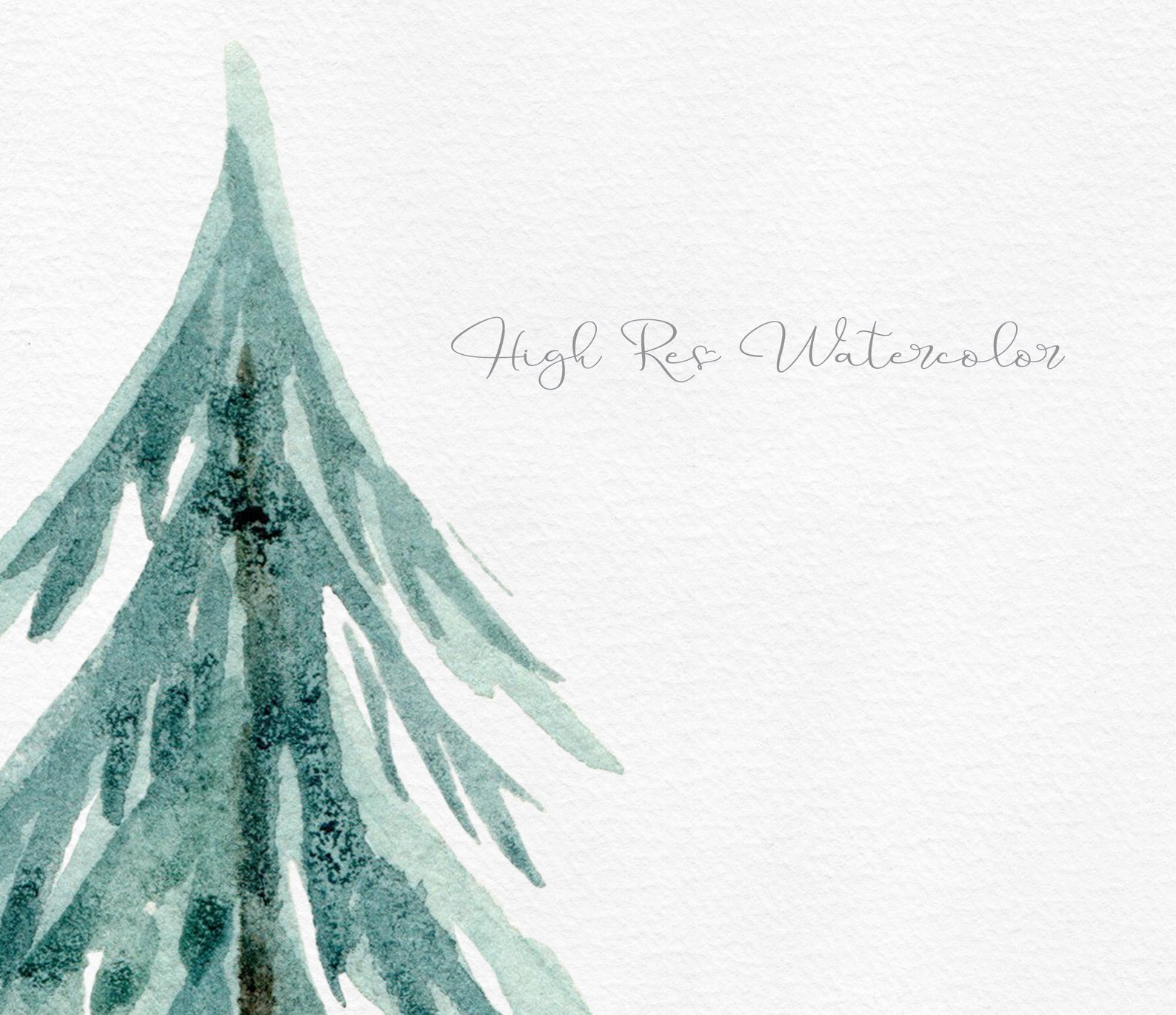 Watercolor Pine Tree Clipart Pine Tree Art Pine Tree Digital | Etsy