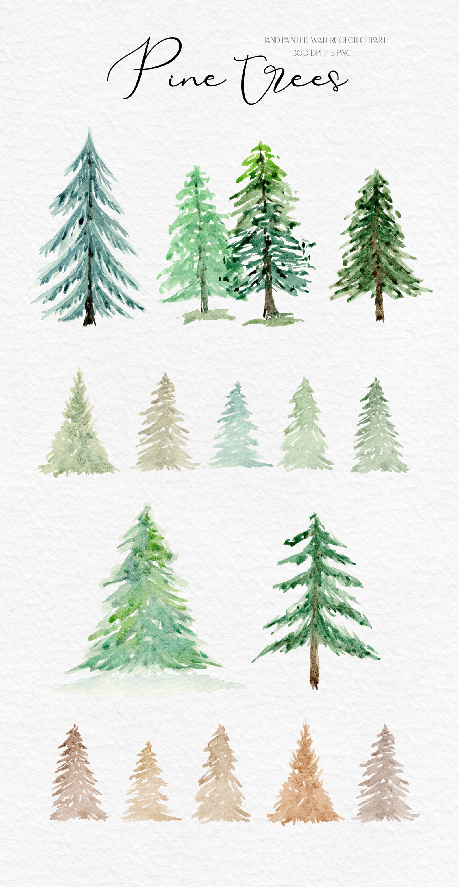 Watercolor Pine Tree Clipart Pine Tree Art Pine Tree Digital | Etsy