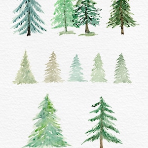 Watercolor Pine Tree Clipart Pine Tree Art Pine Tree Digital Nature ...