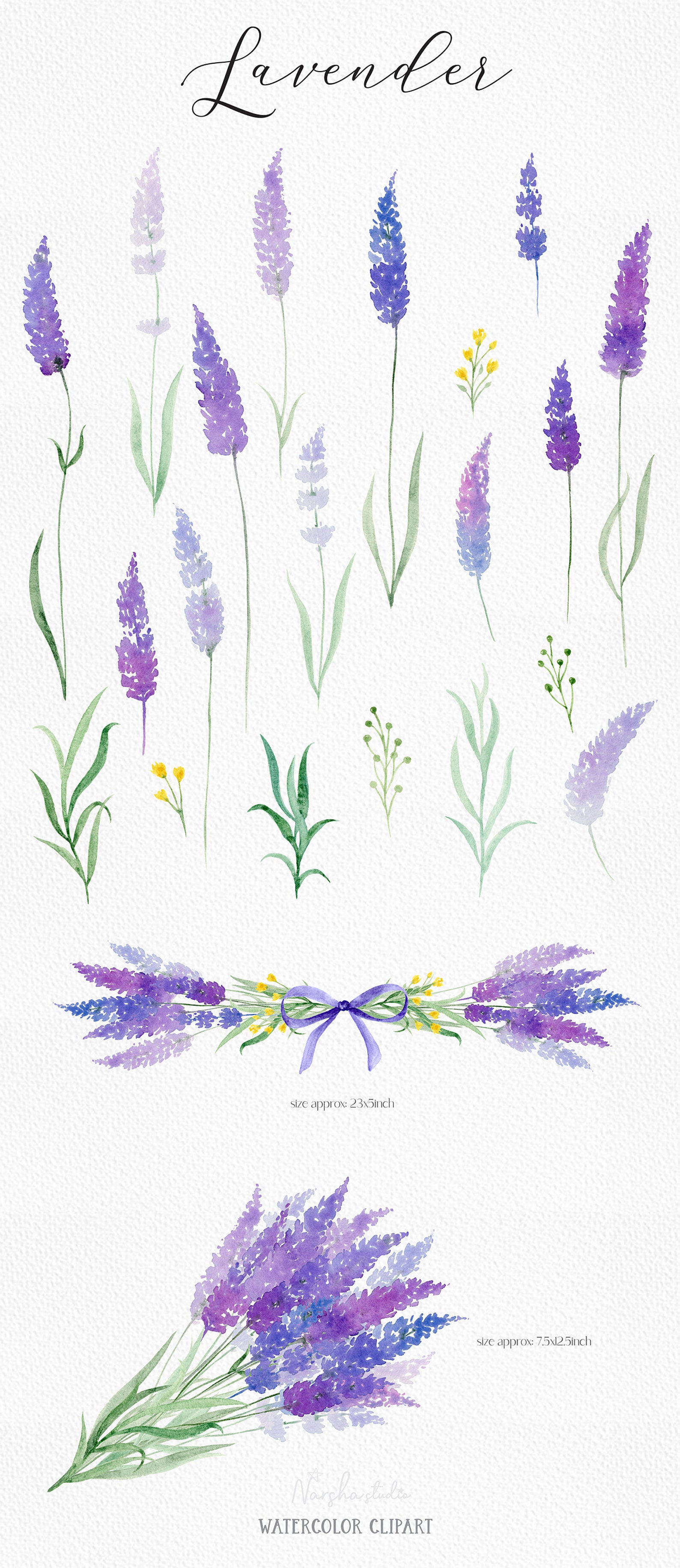 Watercolor Lavender Flowers Clipart. Lavender Art Lavender - Etsy