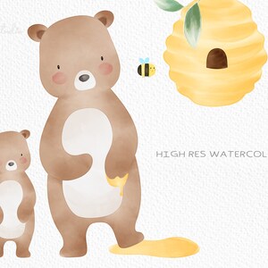 Honey Bear Watercolor Clip Art/ Baby Bear Clipart/ Honey Clipart/ Honey ...