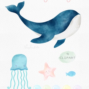 Baby Whale Watercolor Clip Art/ Blue Whale/ Sea Animal Nursery/ Ocean ...