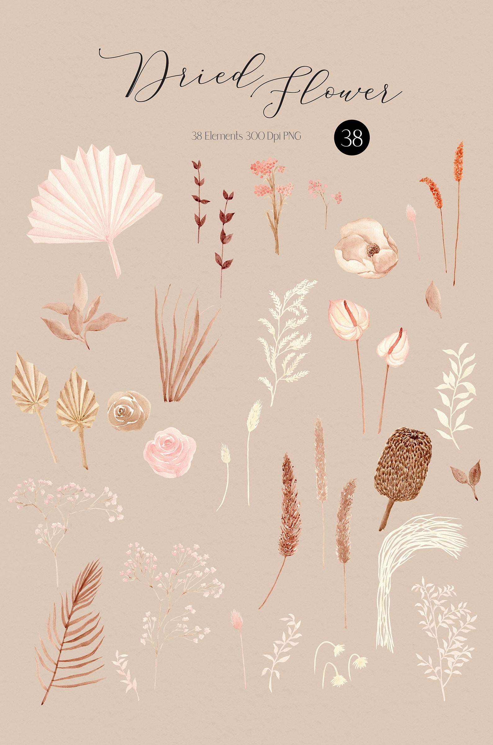 Watercolor Dried Flower Clipart Boho Flower Clipart Boho - Etsy