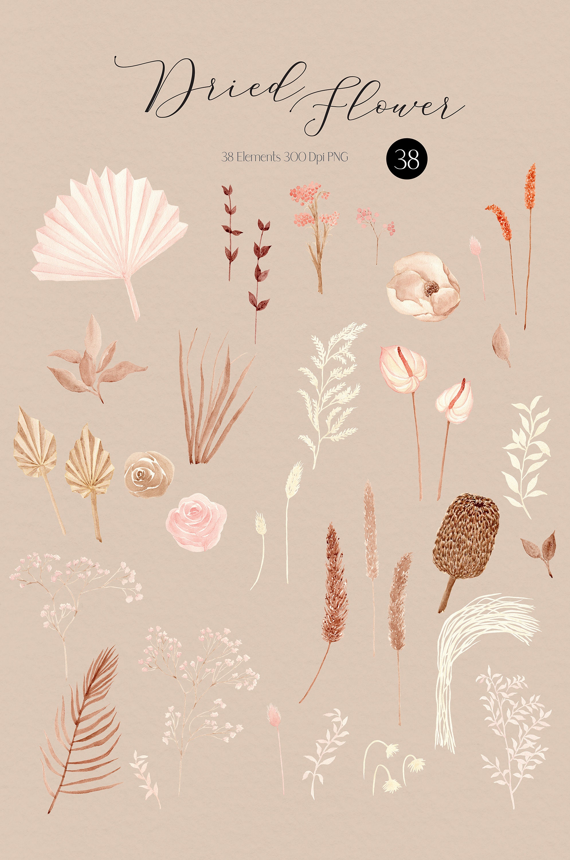 Watercolor Dried Flower Clipart Boho Flower Clipart Boho - Etsy