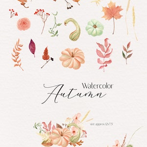 Watercolor Fall Clipart Autumn Clipart Pumpkin Clipart Thanksgiving ...