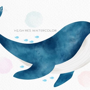Baby Whale Watercolor Clip Art/ Blue Whale/ Sea Animal Nursery/ Ocean ...