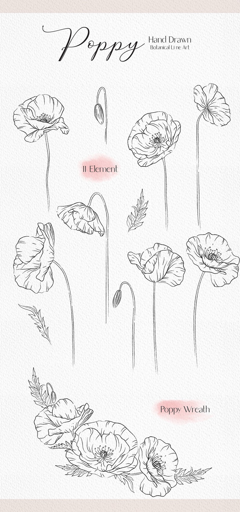 Poppy Clipart Poppy Botanical Drawing Poppy Line Drawing - Etsy