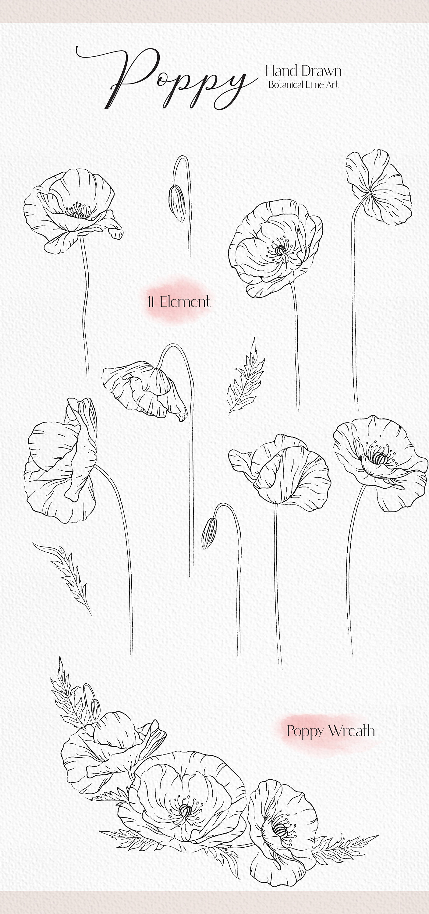 Poppy Clipart Poppy Botanical Drawing Poppy Line Drawing - Etsy