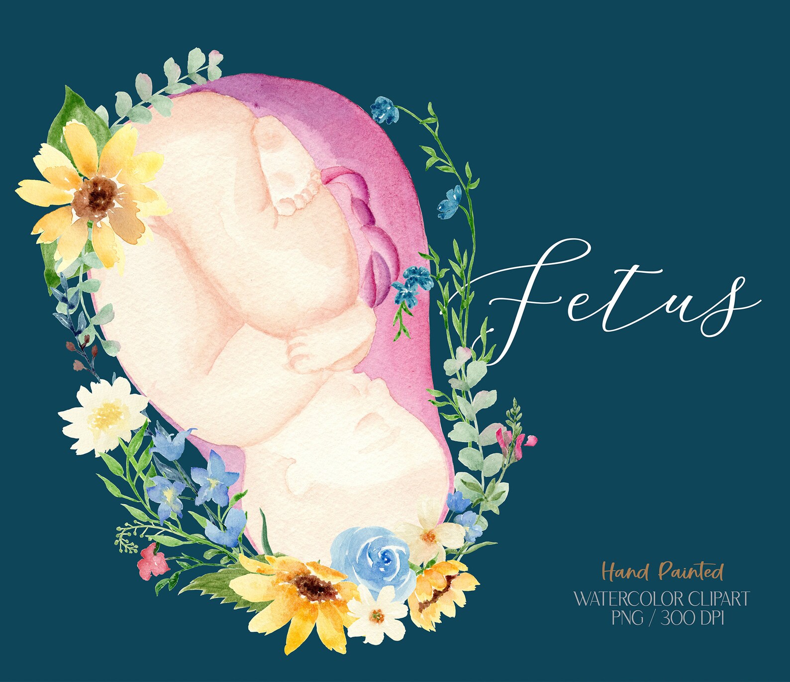 Fetus Watercolor Clipart Placenta Flowers Art Newborn Clipart Baby ...