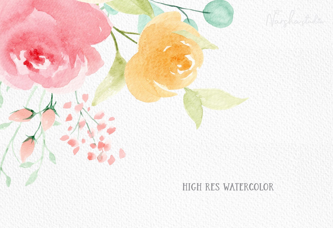Blush Pink Rose Watercolor Flowers Clip Art/ Floral Clipart/ - Etsy