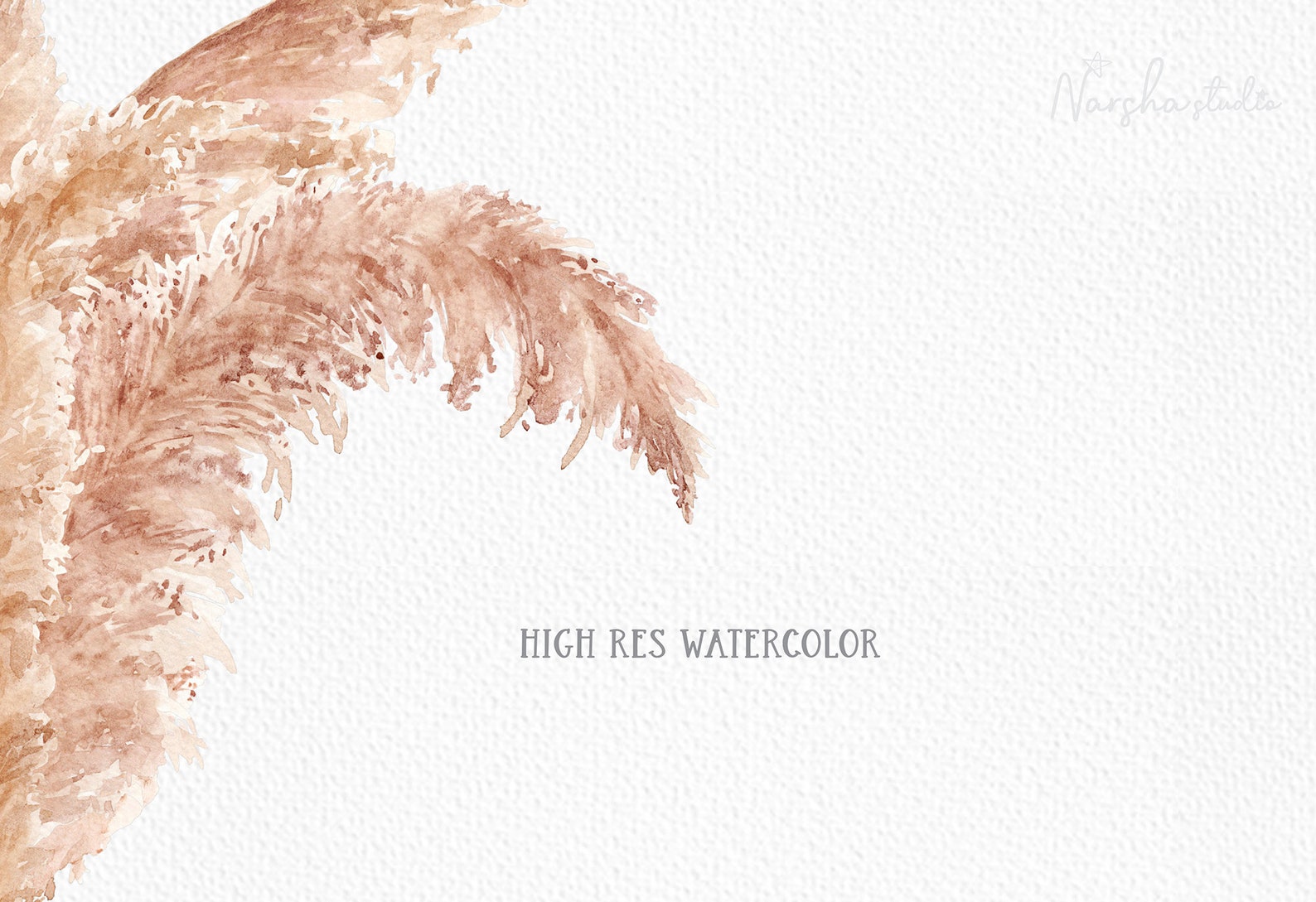 Pampas Grass Watercolor Clip Art. Watercolor Pampas Grass - Etsy