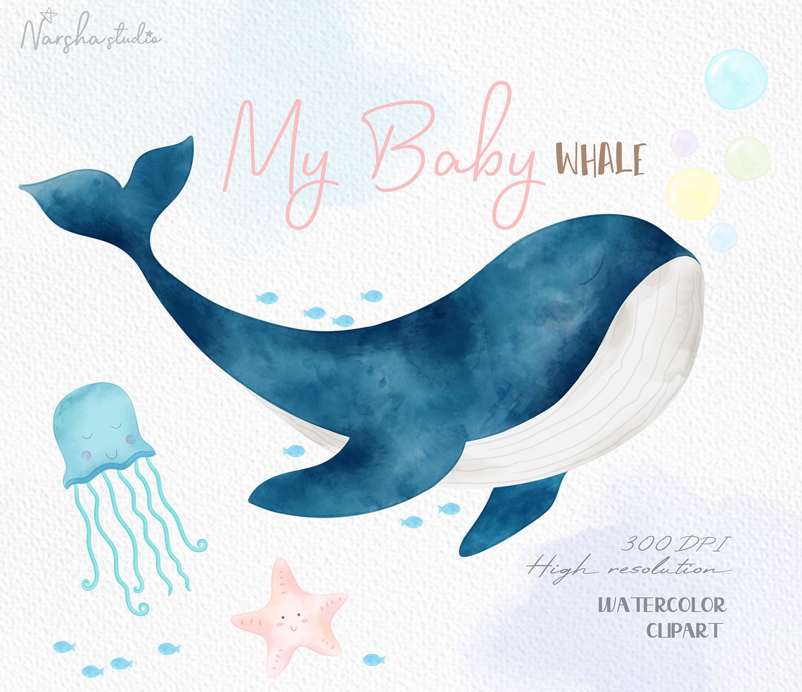 Baby Whale Watercolor Clip Art/ Blue Whale/ Sea Animal - Etsy