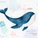 Baby Whale Watercolor Clip Art/ Blue Whale/ Sea Animal Nursery/ Ocean ...