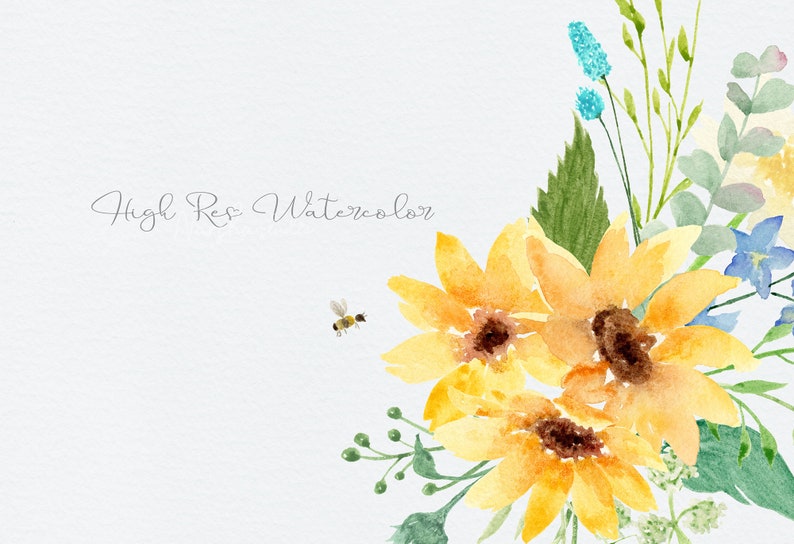 Watercolor Sunflower Clipart Sunflower Png Summer Clipart - Etsy