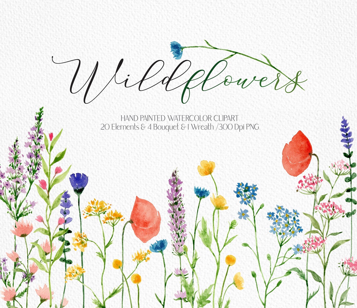 Watercolor Wildflowers Clipart Wildflower Bouquet Flower - Etsy
