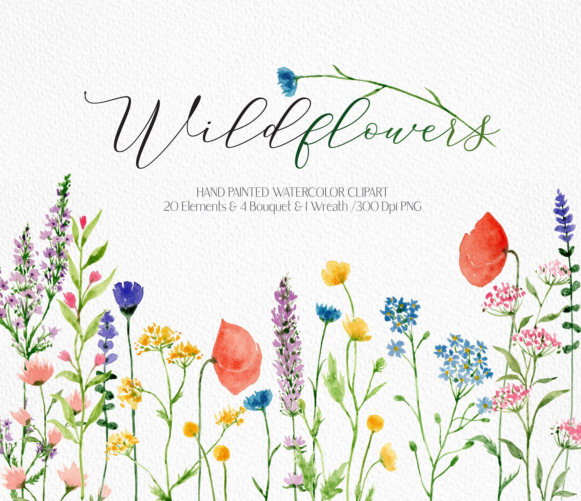 Watercolor Wildflowers Clipart Wildflower Bouquet Flower - Etsy