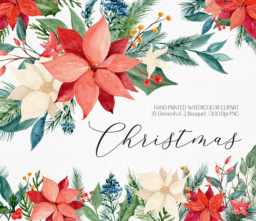 Watercolor Christmas Clipart Red White Poinsettia Flower Bouquet ...