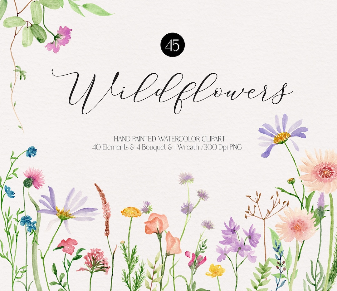 Watercolor Wildflower Clipart Boho Floral Clipart Wildflower Bouquet ...