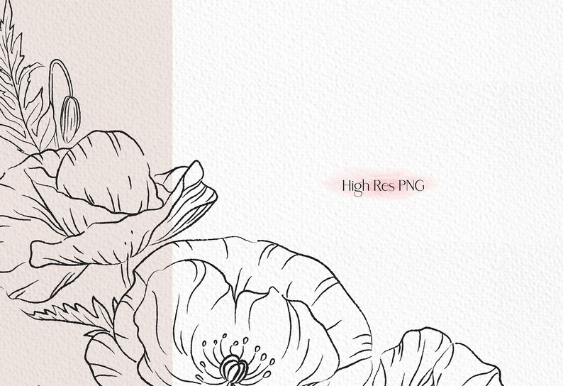 Poppy Clipart Poppy Botanical Drawing Poppy Line Drawing - Etsy