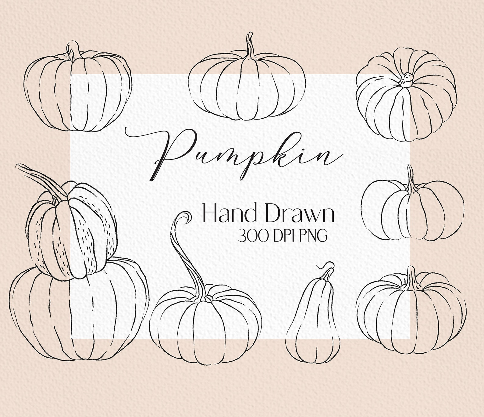 Pumpkin Clipart Fall Clipart Thanksgiving Png Autumn Png Fall - Etsy