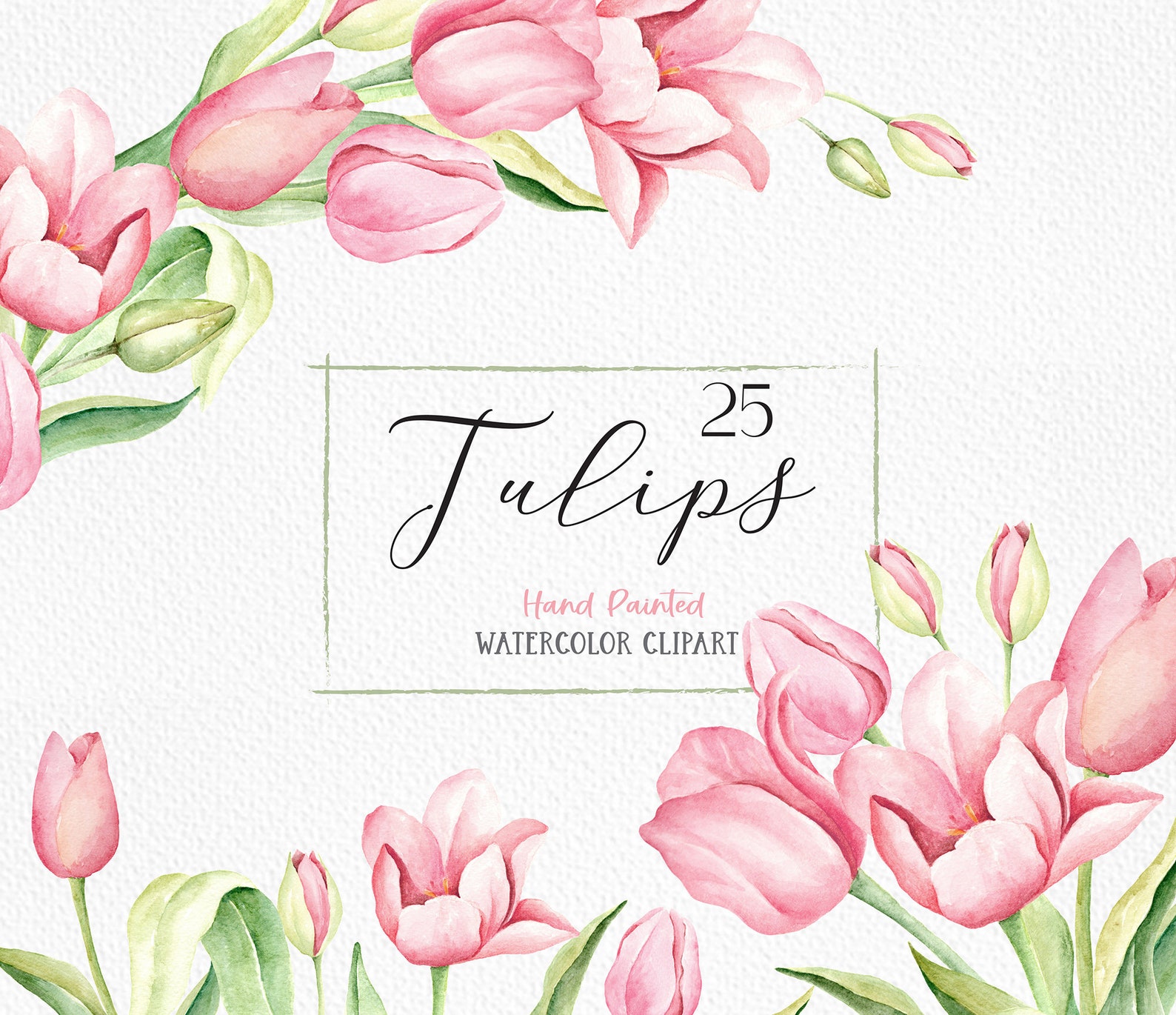 Spring Pink Tulip Watercolor Clip Art/ Floral Clipart/ - Etsy