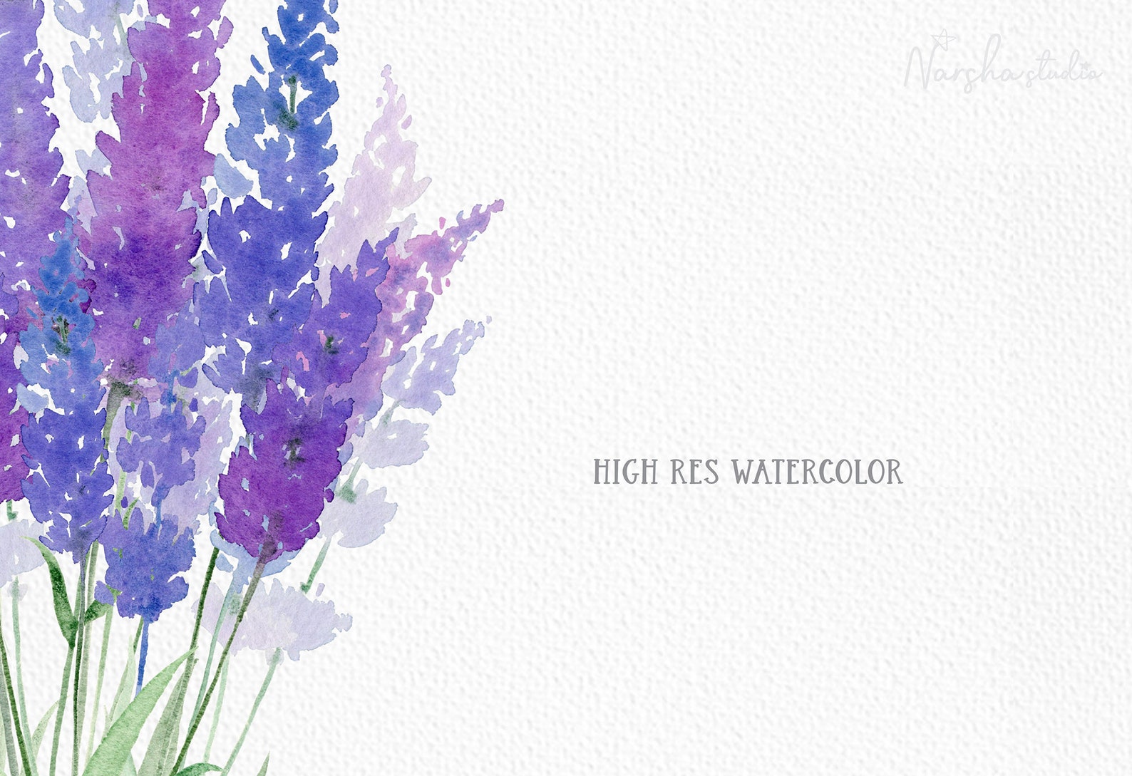 Watercolor Lavender Flowers Clipart. Lavender Art Lavender - Etsy