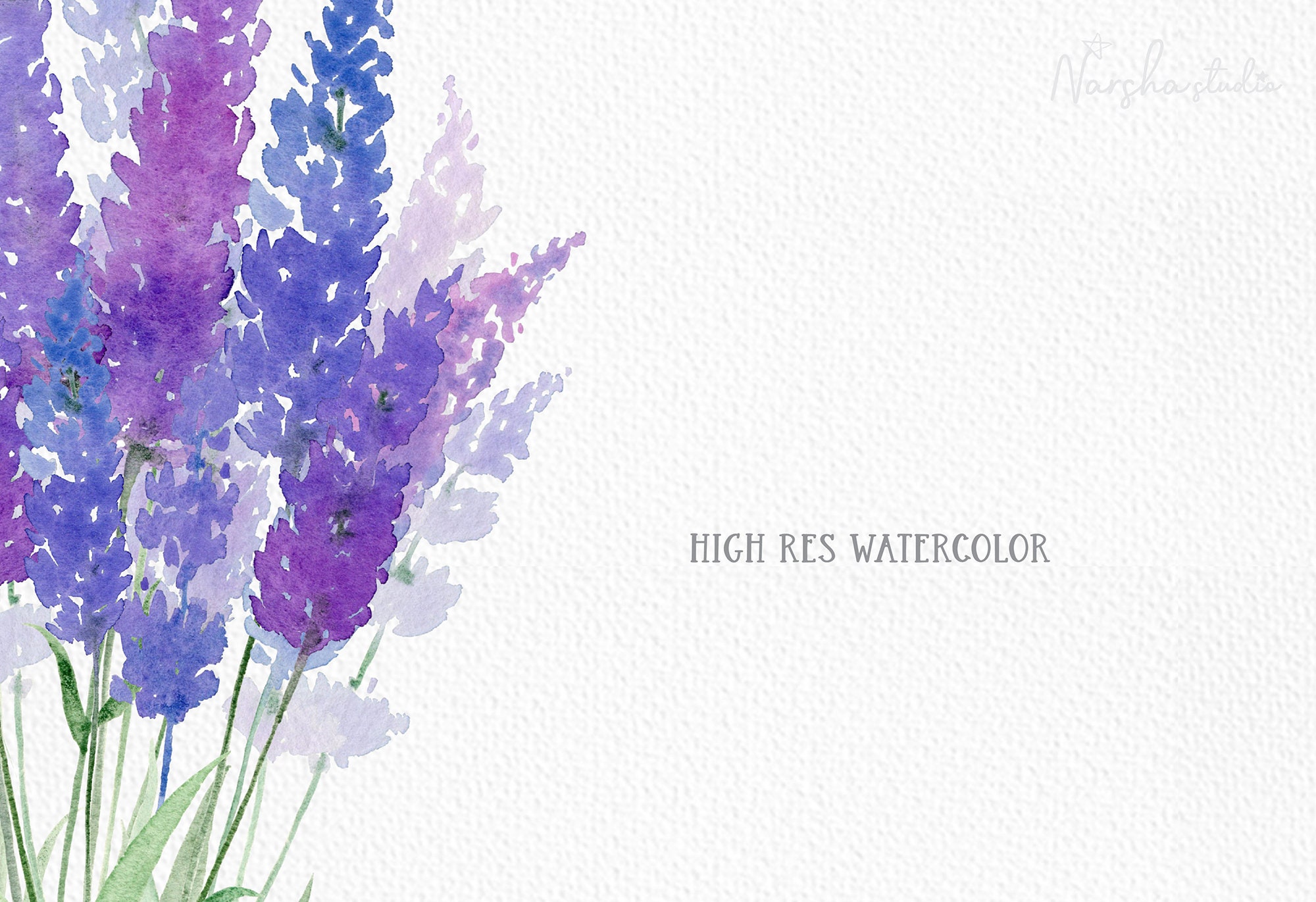 Watercolor Lavender Flowers Clipart. Lavender Art Lavender - Etsy