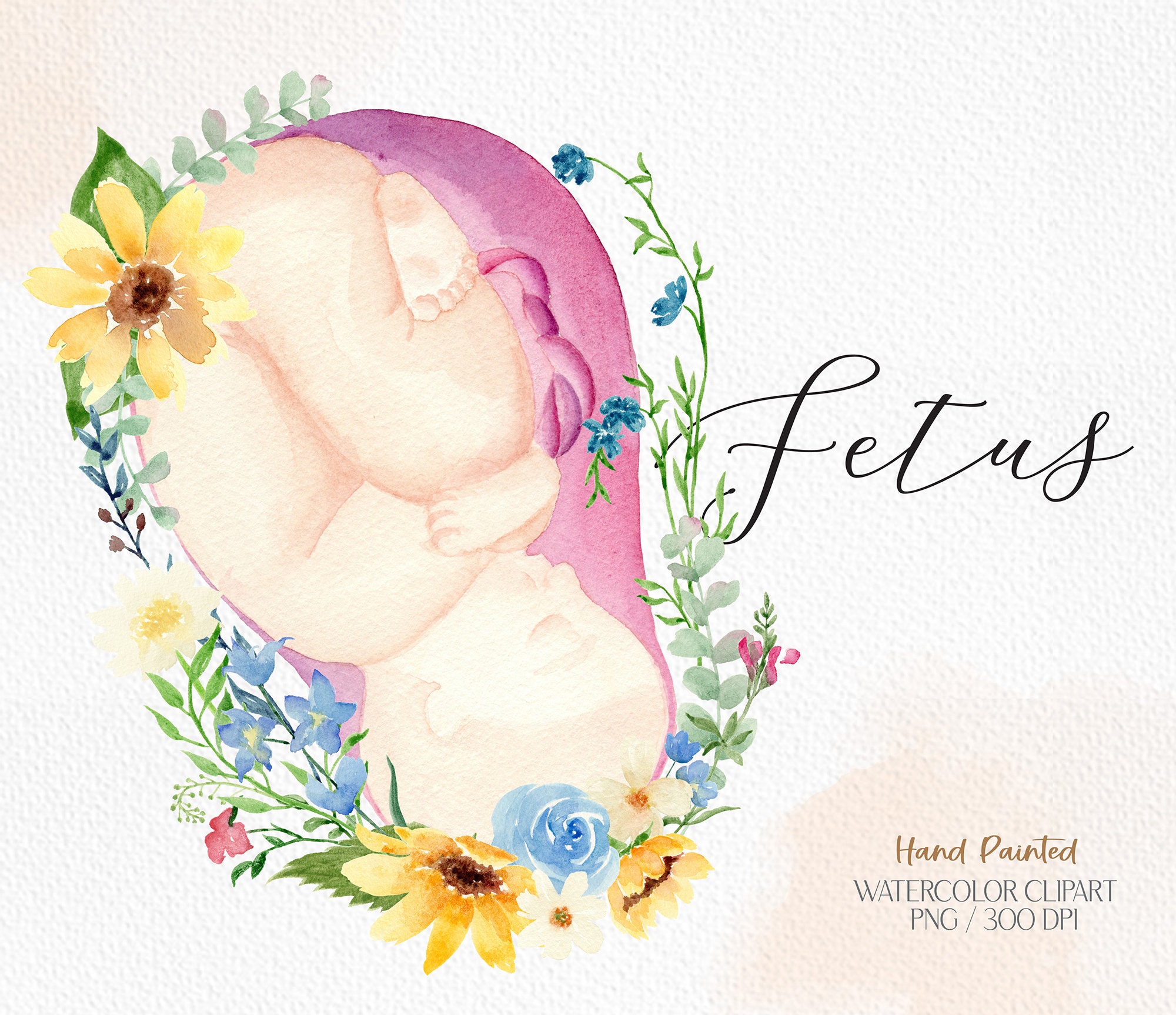 Fetus Watercolor Clipart Placenta Flowers Art Newborn Clipart Baby ...