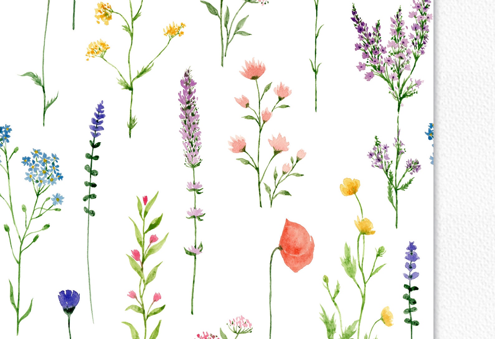 Watercolor Wildflower Pattern Png Wildflower Clip Art - Etsy
