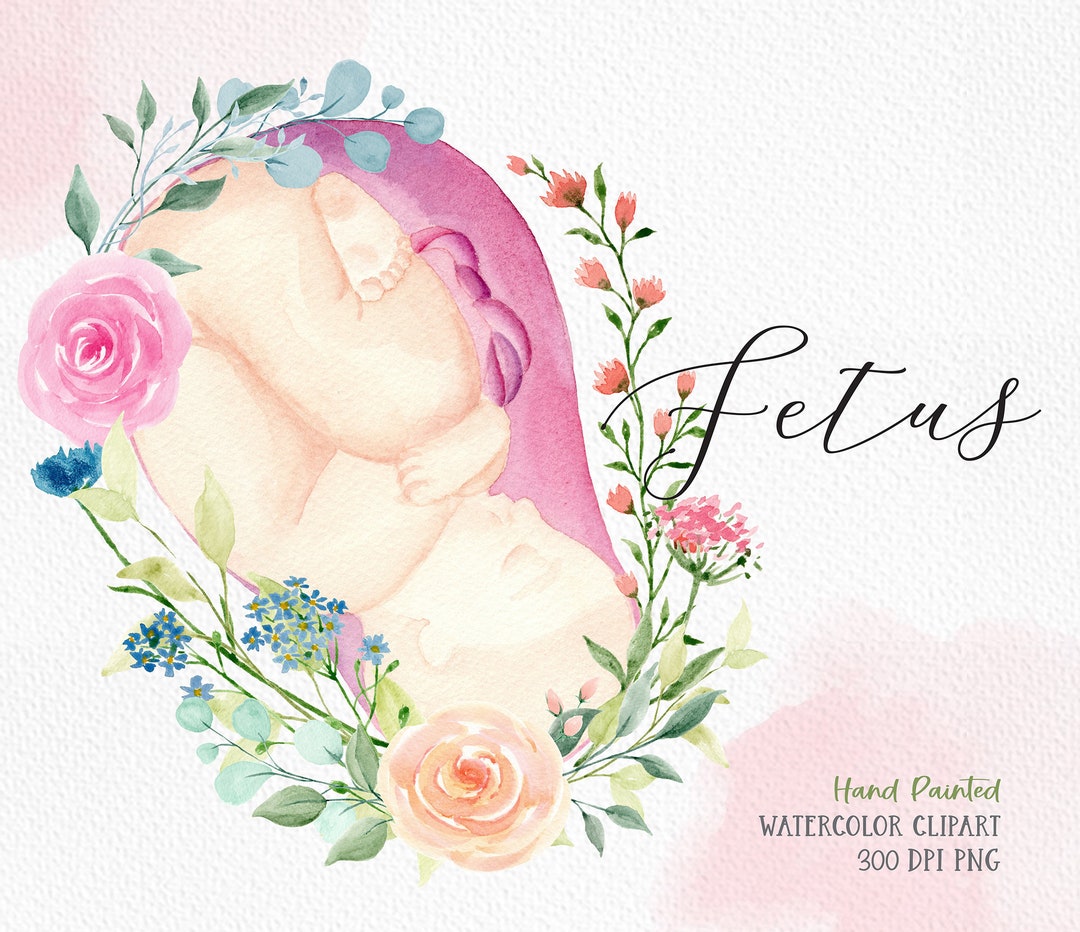 Fetus Watercolor Clipart Placenta Flowers Art Newborn Clipart Baby ...
