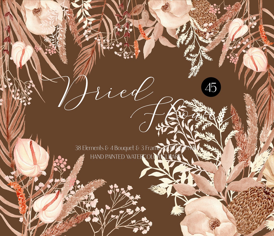 Watercolor Dried Flower Clipart Boho Flower Clipart Boho - Etsy