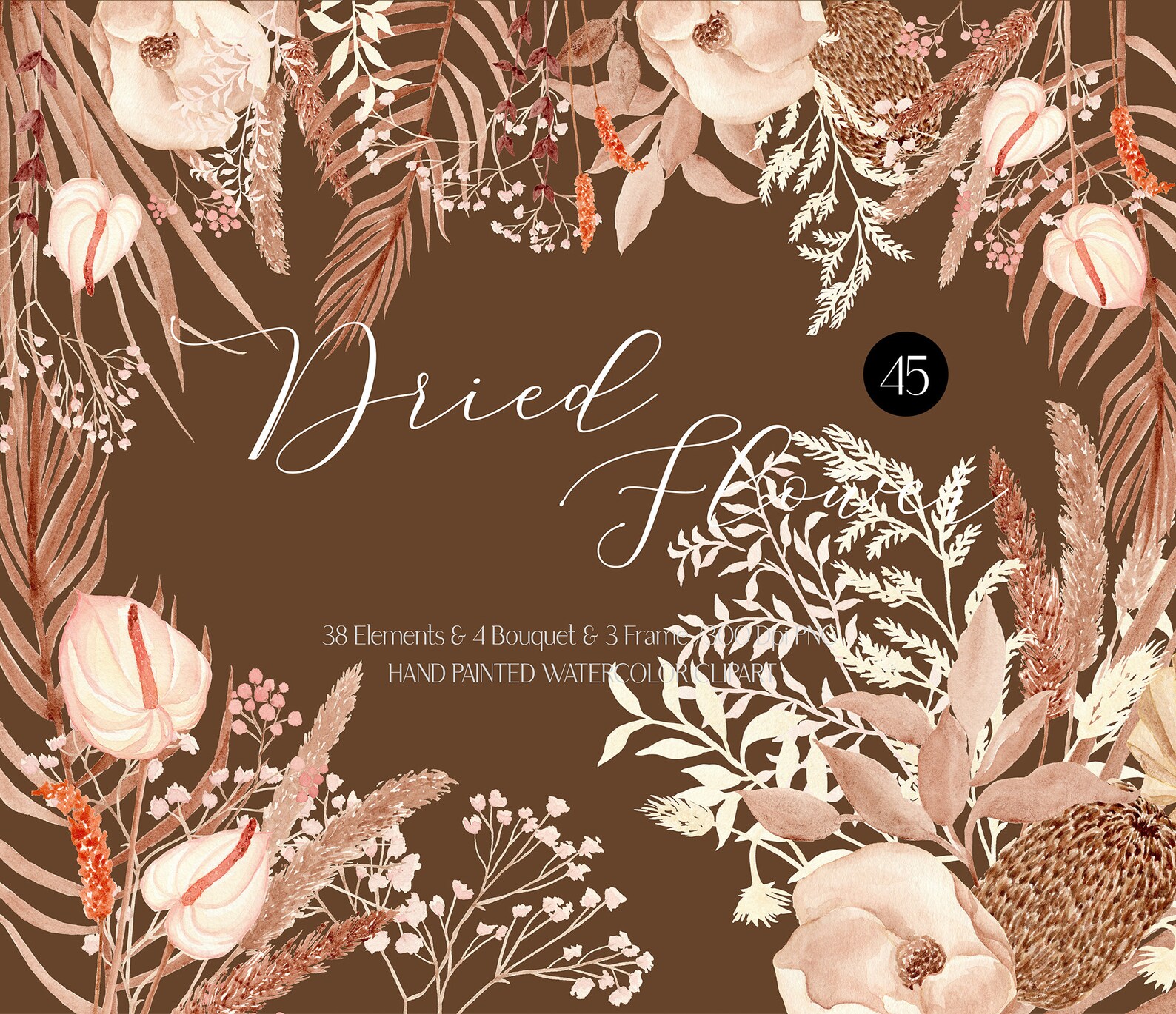 Watercolor Dried Flower Clipart Boho Flower Clipart Boho - Etsy