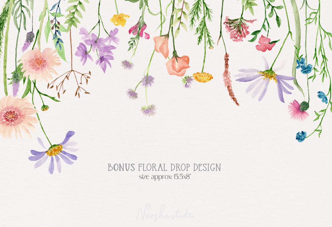 Watercolor Wildflower Clipart Boho Floral Clipart Wildflower | Etsy