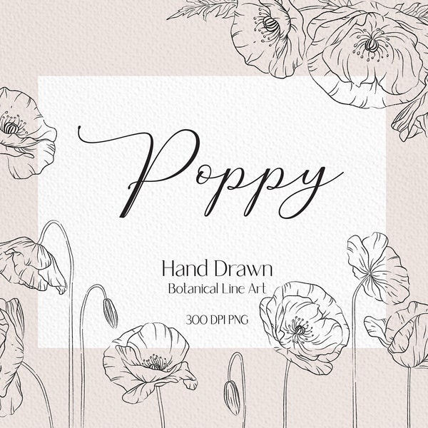 Poppy Line Art - Etsy