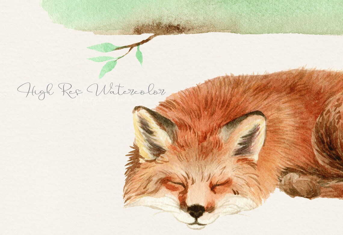 Watercolor Fox Clipart Woodland Clipart Animal Clipart - Etsy